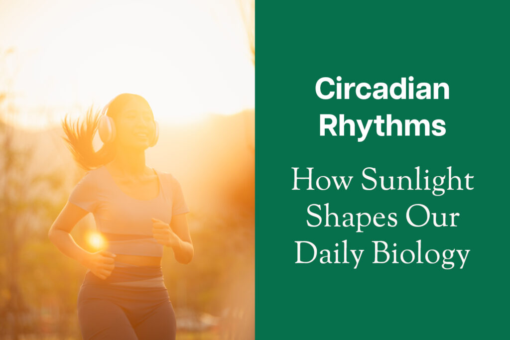 The Rhythm of Light: How Sunlight Shapes Our Daily Biology • Copa ...
